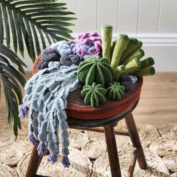 30 Free Crochet Cactus Patterns | Crochet Succulent Pattern
